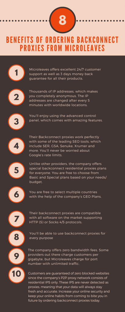 Everything You Need to Know About Backconnect Proxies | Microleaves